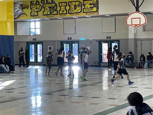 Athletics & Activities / Middle School Basketball